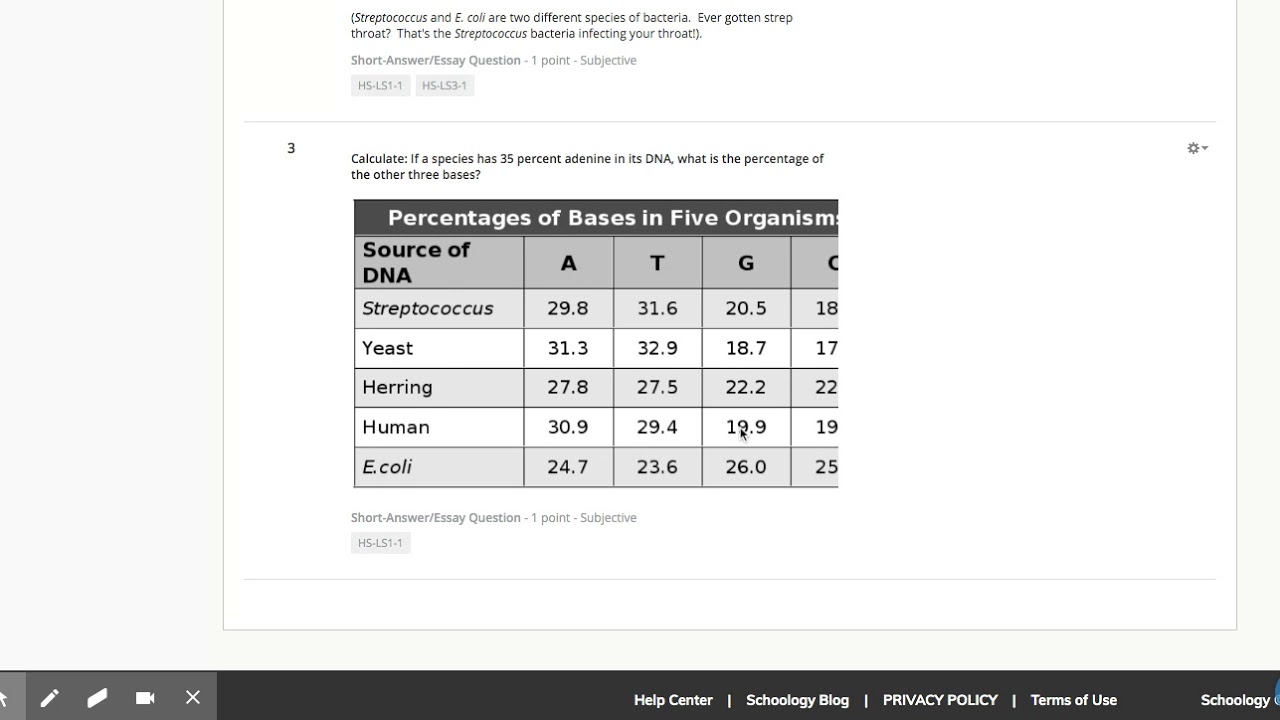 4. Analyzing Data: Chargaff's Rule | Schoology - YouTube