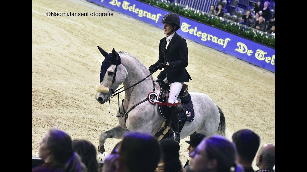 9 to stallion by Mylord Carthago x Le tot de Semilly, 1.40 class - YouTube
