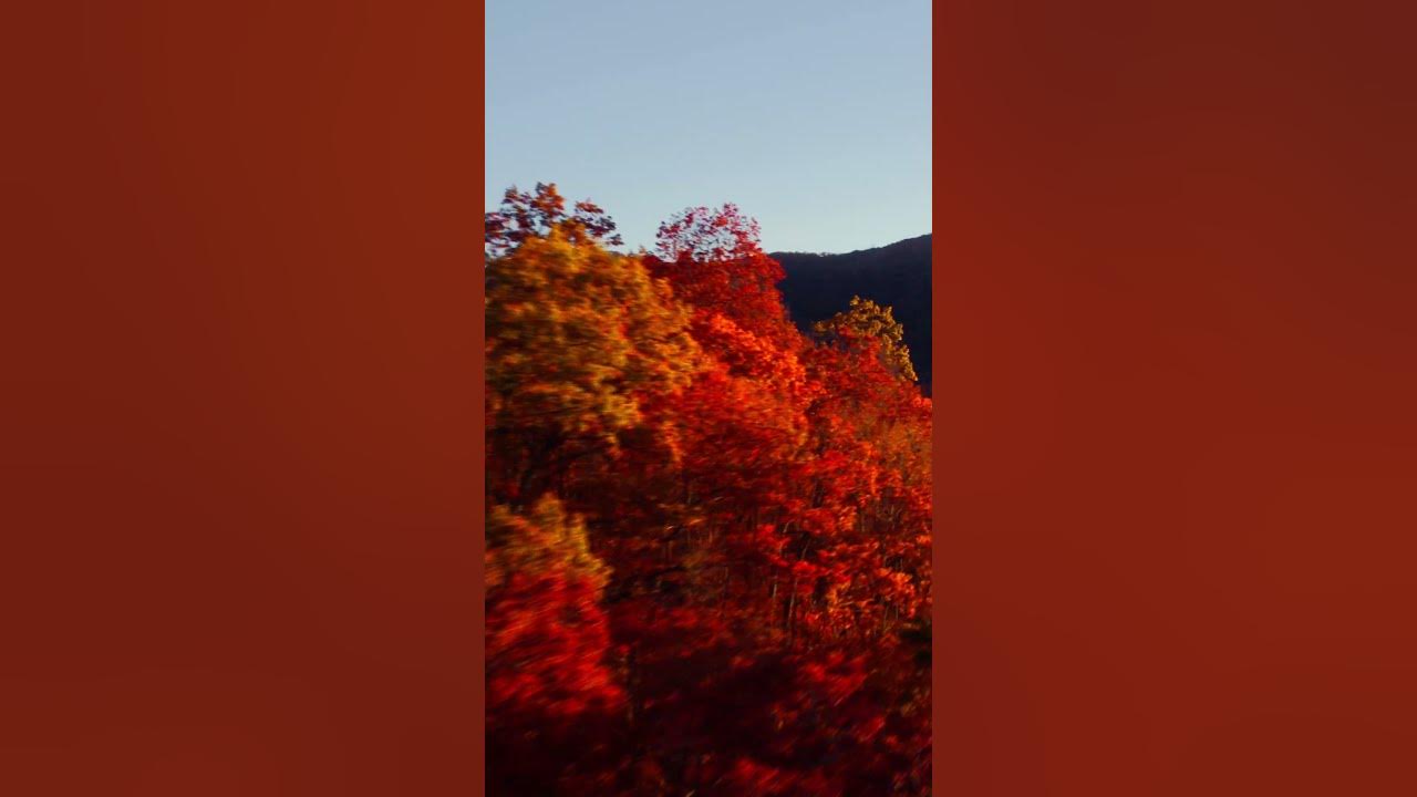 Autumn in the Mountain's Embrace #nature #autumnvibes #autumn # ... Autumn in the Mountain's Embrace #nature #autumnvibes #autumn # ...