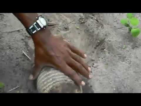 Kabar biju aavishkar - YouTube