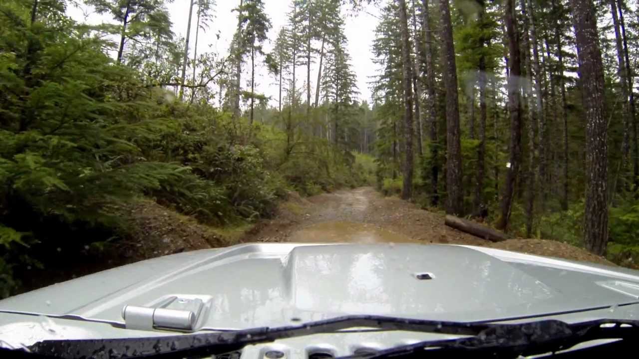 GoPro Introduction to Tahuya State Forest. - YouTube