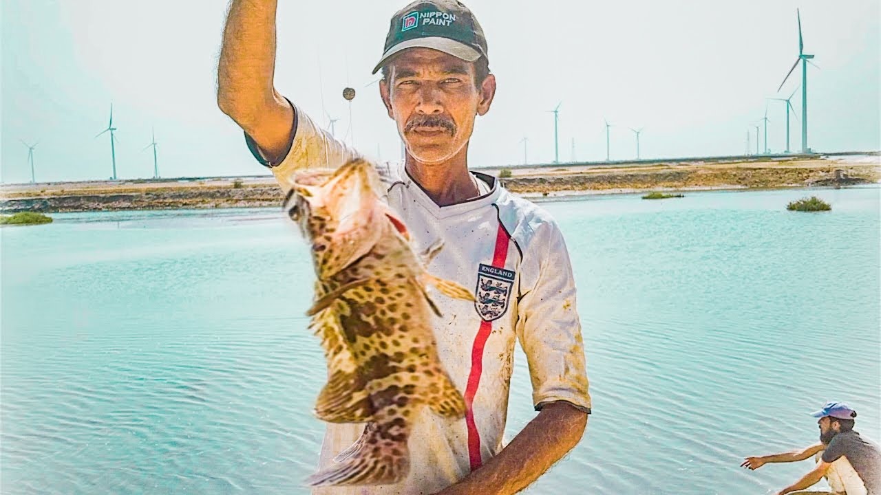 karachi fishing || Fishing in karachi || Grouper || Harjina fishing ...