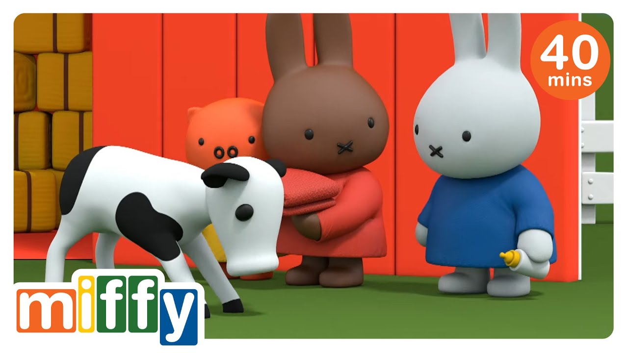 MooMoo! | Miffy | Cartoons for kids - YouTube