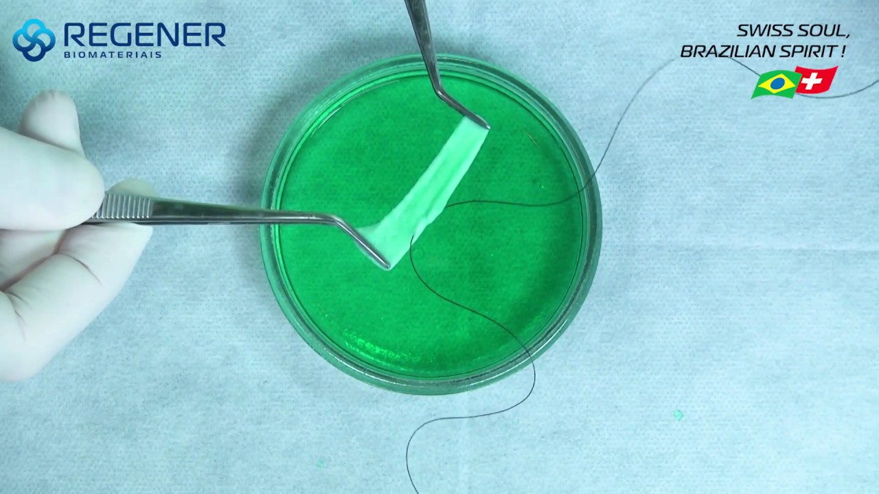 Green Membrane - Membrana Regener Biomateriais - YouTube