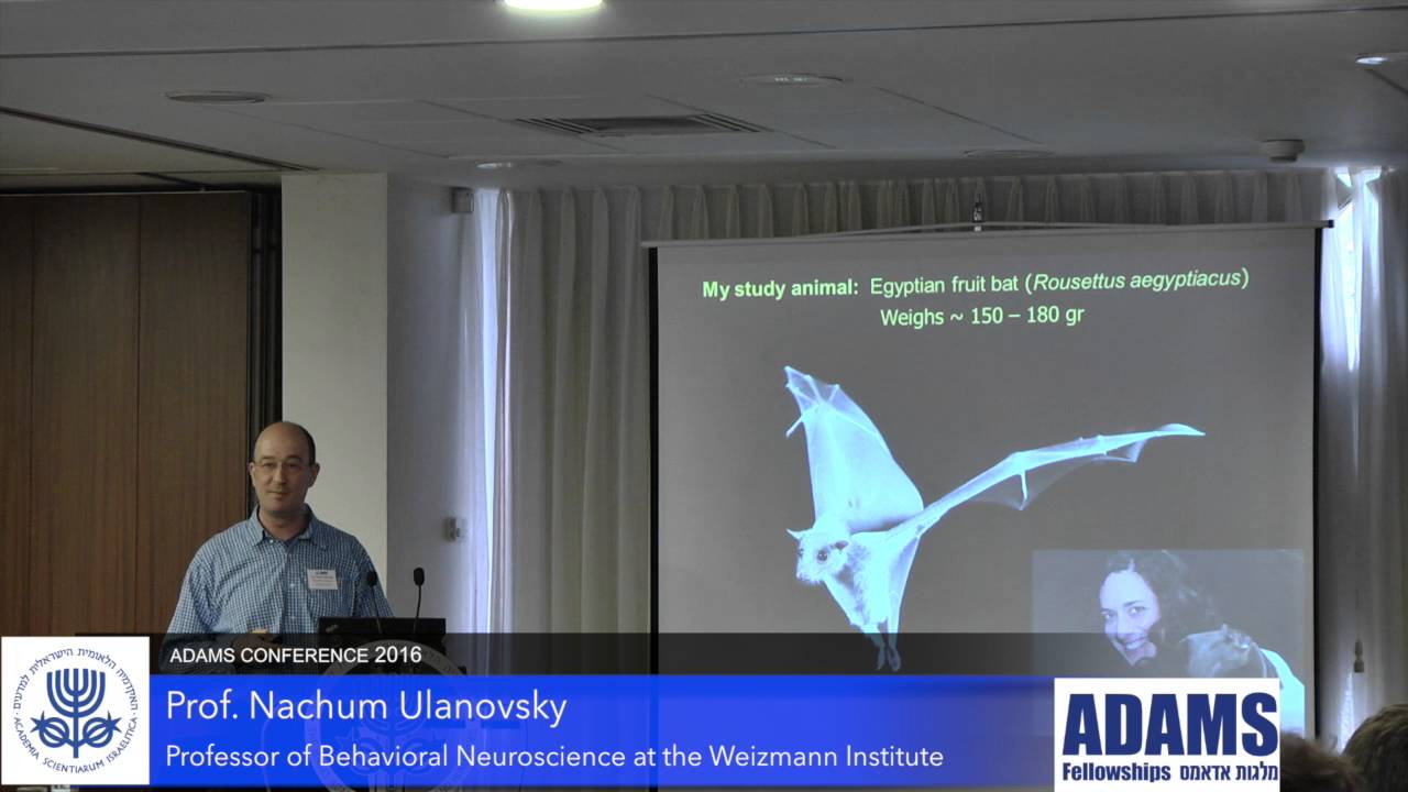 Prof. Nachum Ulanovsky - “Towards a Natural Neuroscience of Navigation ...