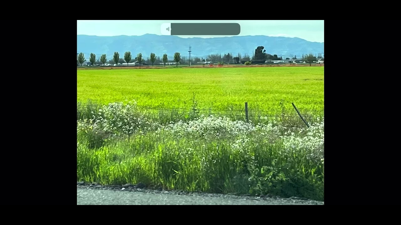 Pretty land - YouTube