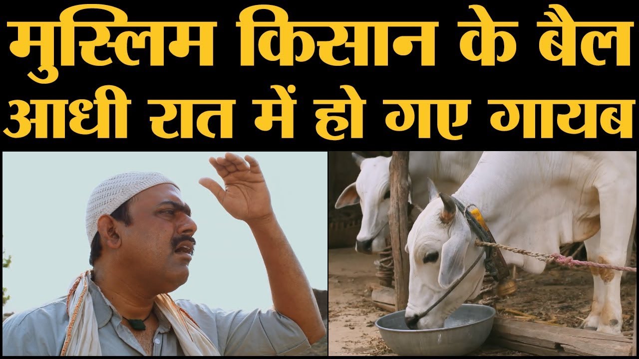 एक किसान के बैल खो गए और राजनीति में भूकंप आ गया | Ranga Patanga ...