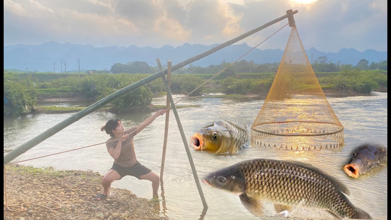 Catching fish in the video, How to make a fish trap with bamboo and net ...