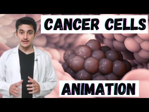 Cancer carcinoma animation | class 12 biology neet | cause | what is ...