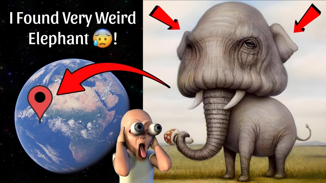 I Found a Very Strange Elephant in Real Life On Google Earth and Google ...