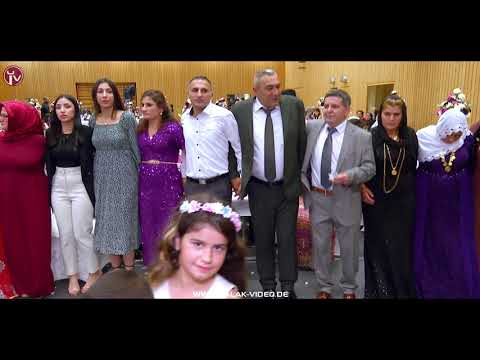 Dilan & Cihan - Part 4 - Yalak Video - Koma Pira - kurdish wedding 2021