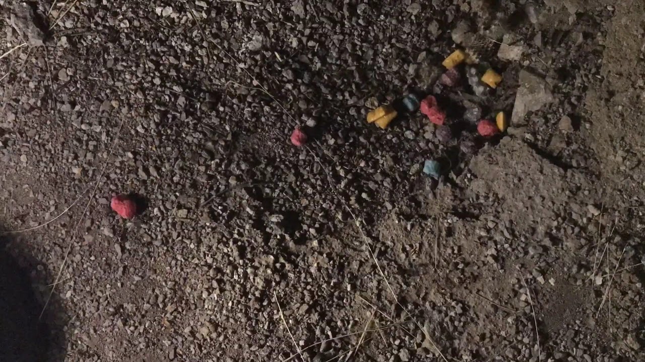 Ants Play Tetris with Captain Crunch Cereal - YouTube
