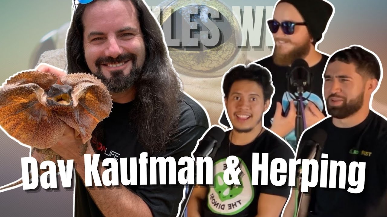 Dav Kaufman Visits REPTILE SHOP & We go HERPING! | Reptiles With ...