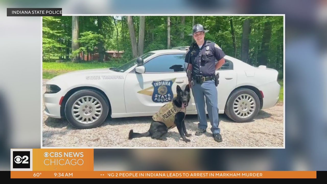 Indiana Police K-9 Jett gets new protective vest - YouTube