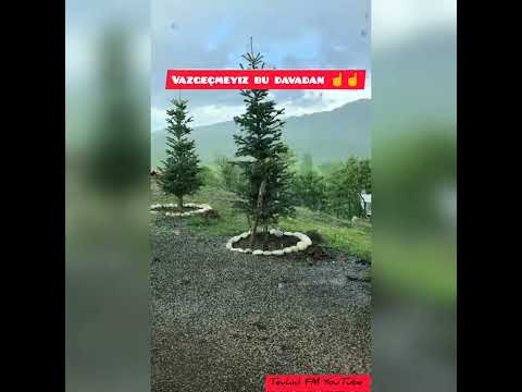 VAZGEÇMEYİZ BU DAVADAN... Türkçe neşid