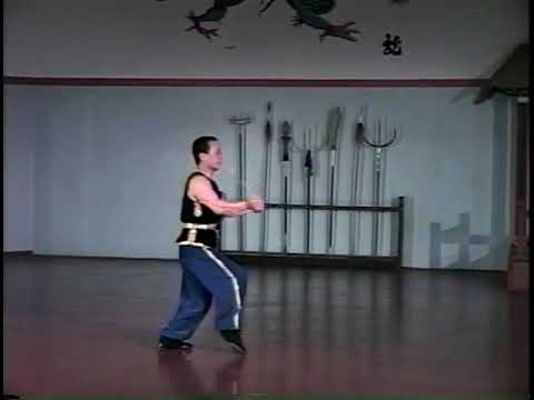 VHG 24 Hung Gar Plum Flower Double Chain Whip Preview www.WLE.com - YouTube