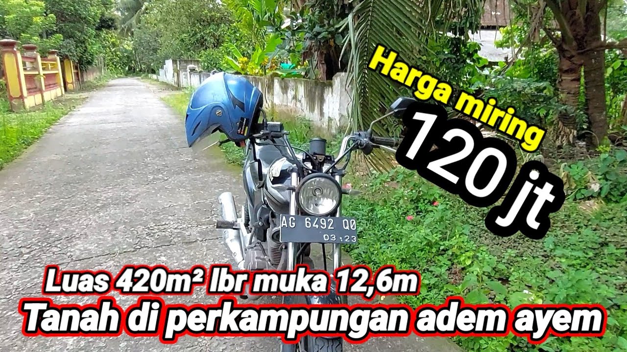 Tanah kosong di kampung penuh adem ayem sayure bayem gk beli, he he‼️ ...