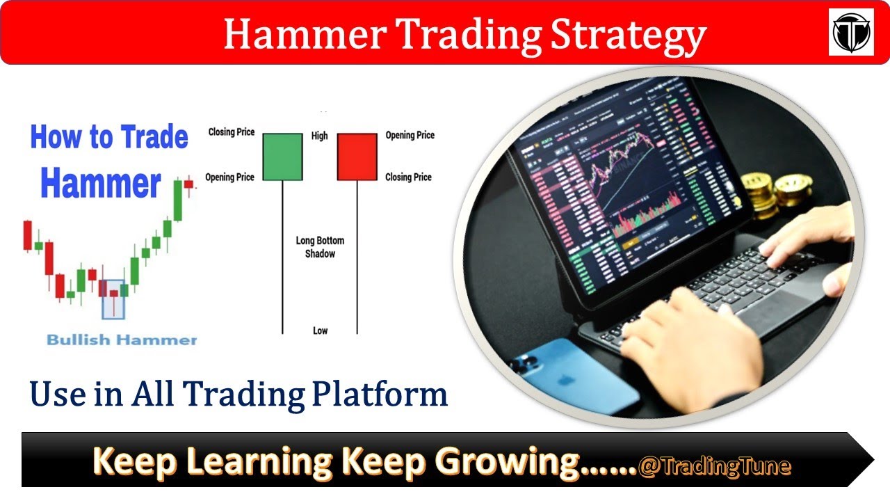 How To Trade Hammer #trading #tradingview #tradingstrategy #nifty50 # ...