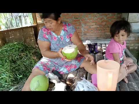 kelapa muda buat mamak nirmala||tanaman cabai belakang rumah sangat subur