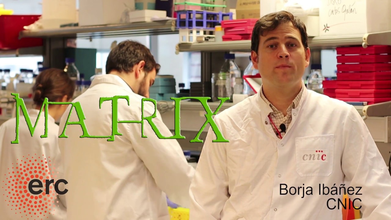 MATRIX - ERC - Borja Ibáñez - YouTube