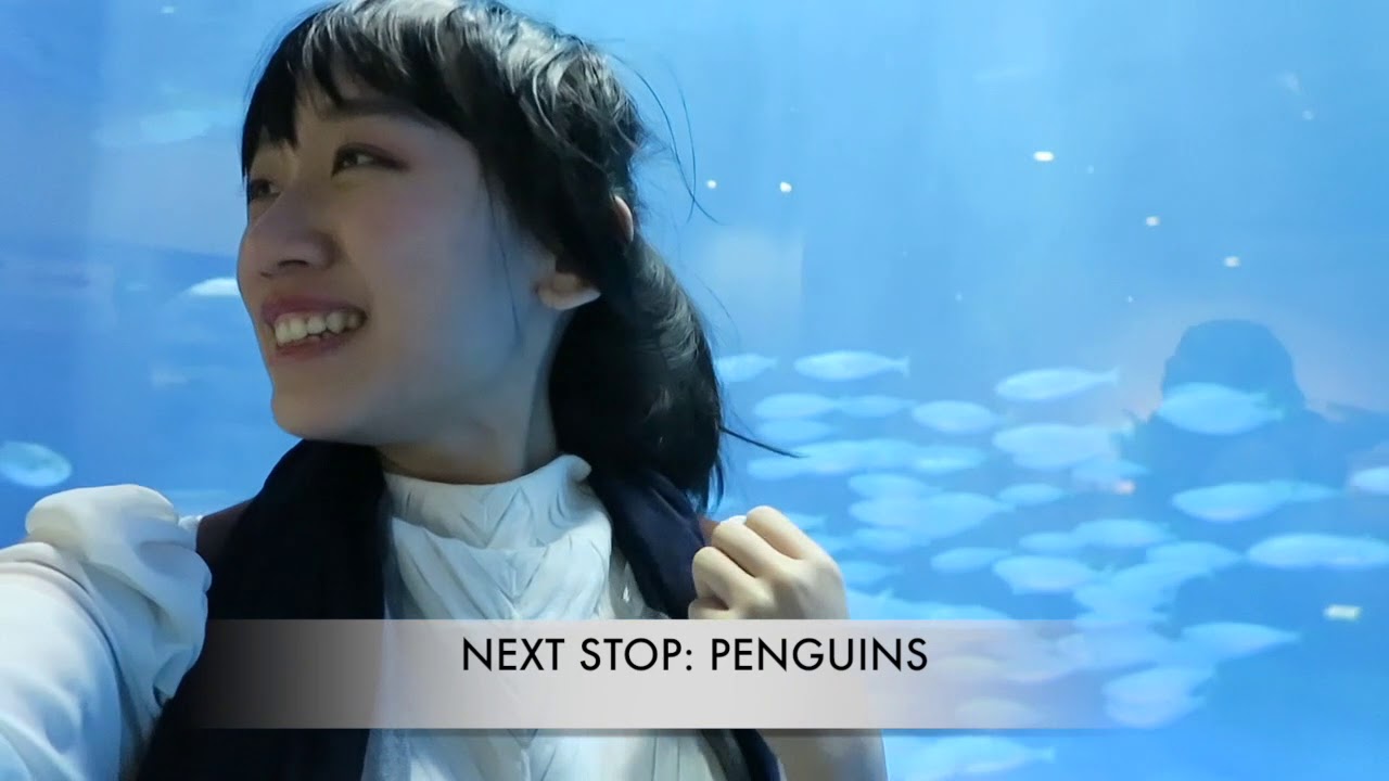 Nagoya Aquarium Fun Facts About Sea Creatures nagoya-aquarium-fun-facts-about-sea-creatures