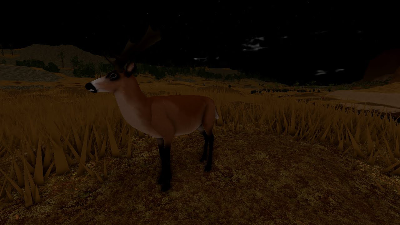 New wolfdog skins and Bretzia [ Sonora ] - YouTube