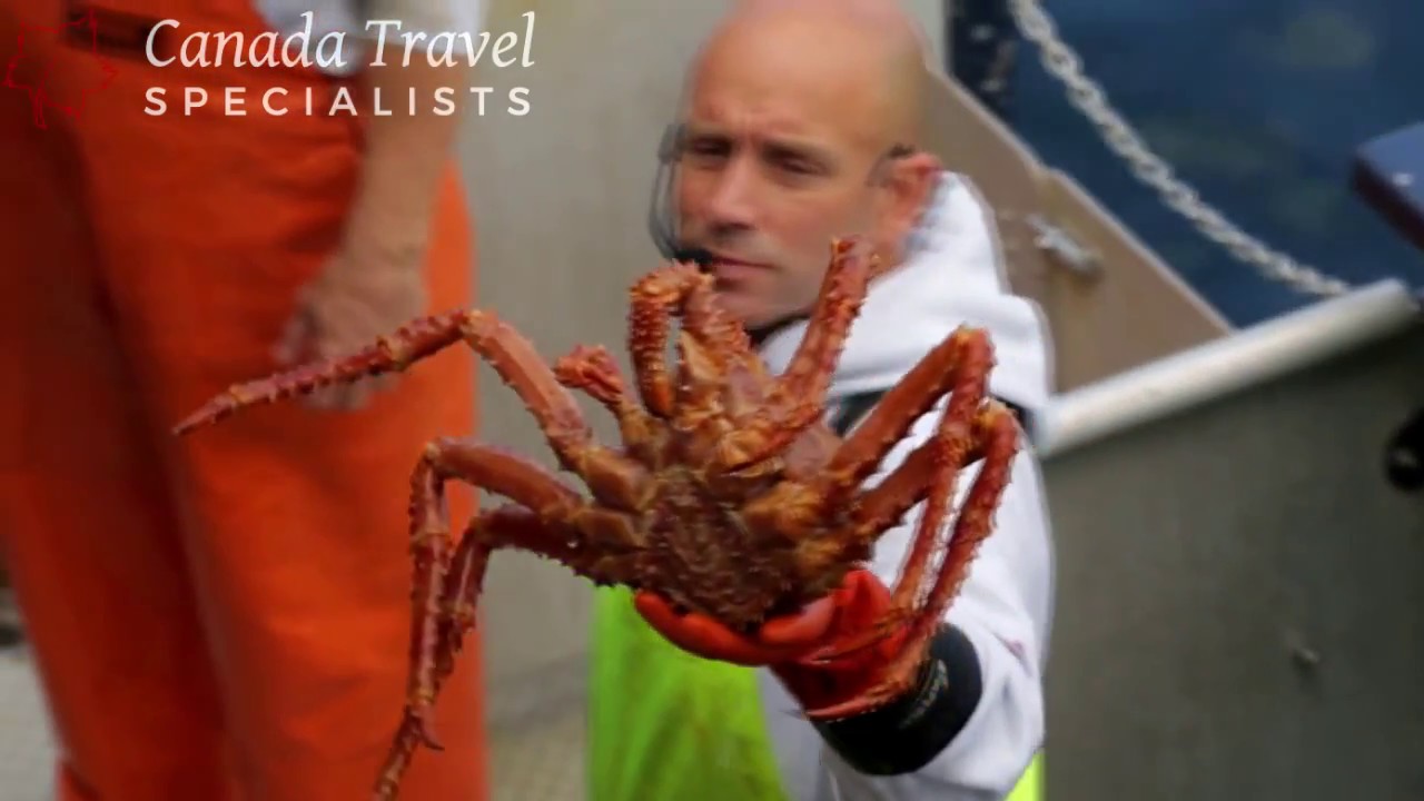Alaska Cruise - Celebrity Cruise Excursions - Deadliest Catch Crab ...