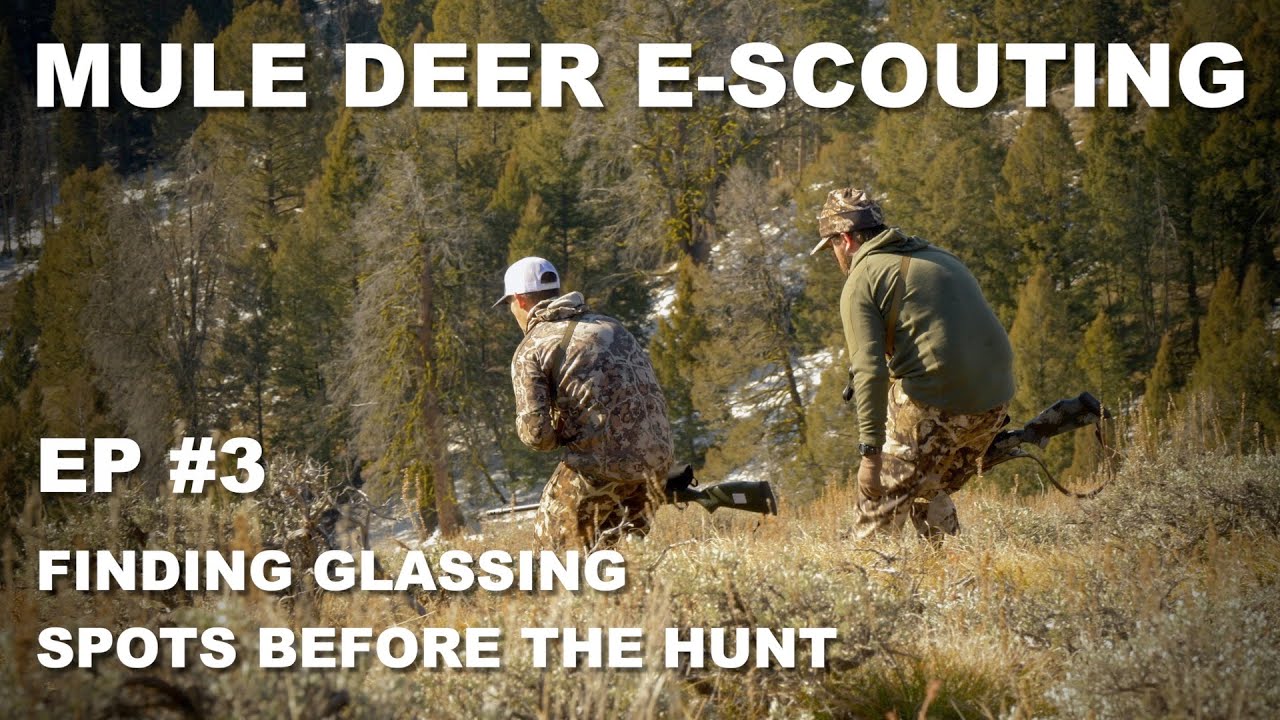 E-SCOUTING FOR MULE DEER: FINDING GOOD CLASSING SPOTS - EP3 - YouTube