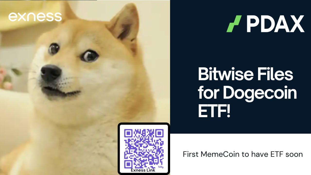 Bitwise Files for Dogecoin ETF - YouTube