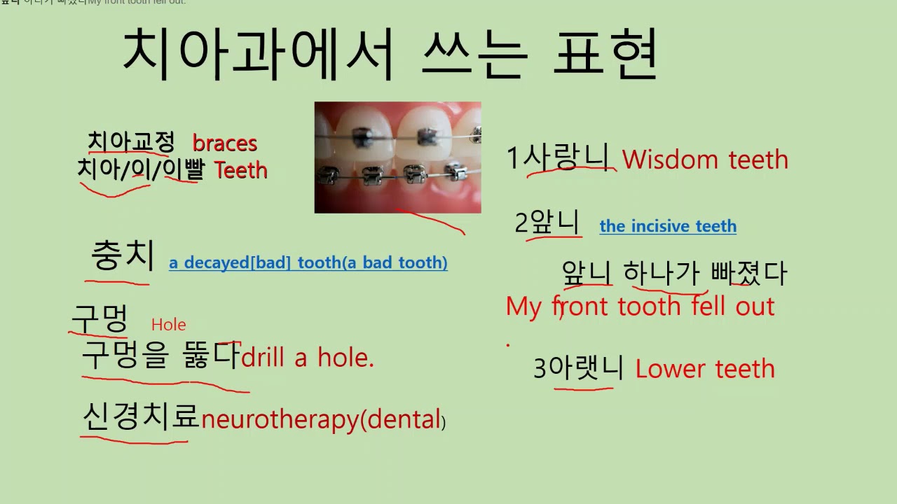 words used in dentistry in korean #치과에서 쓰는 말#ពាក្យក្នុងពេទ្យធ្មេញ 😎😎 ...