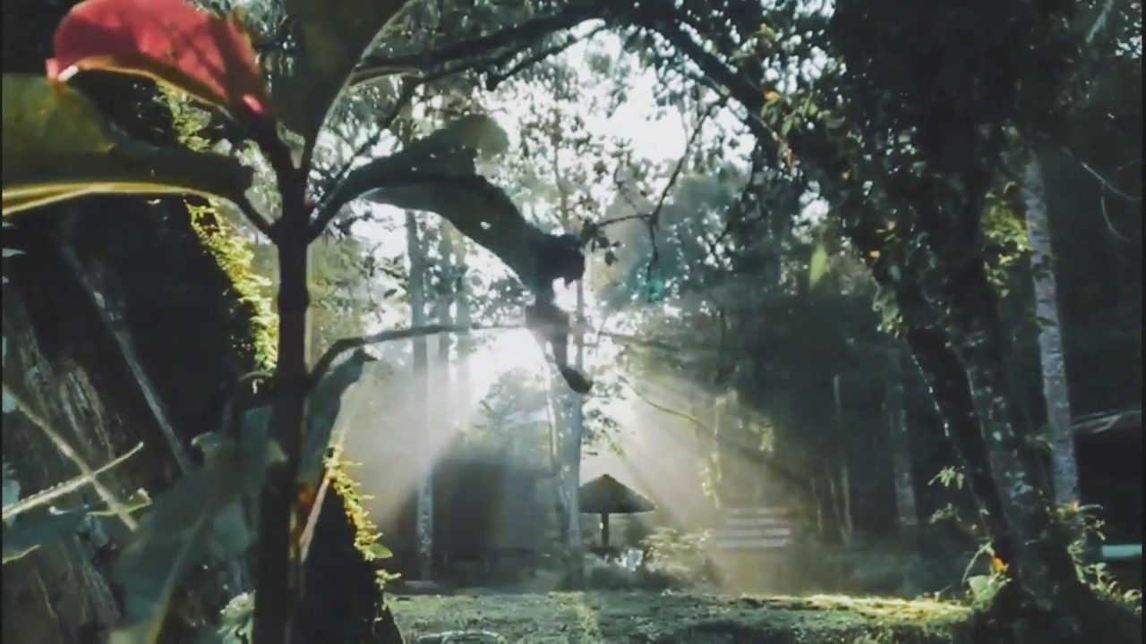 BUYAN LAKE CAMP BALI - YouTube