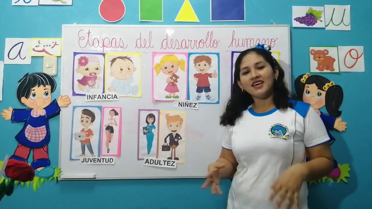 Etapas del desarrollo humano para inicial. - YouTube