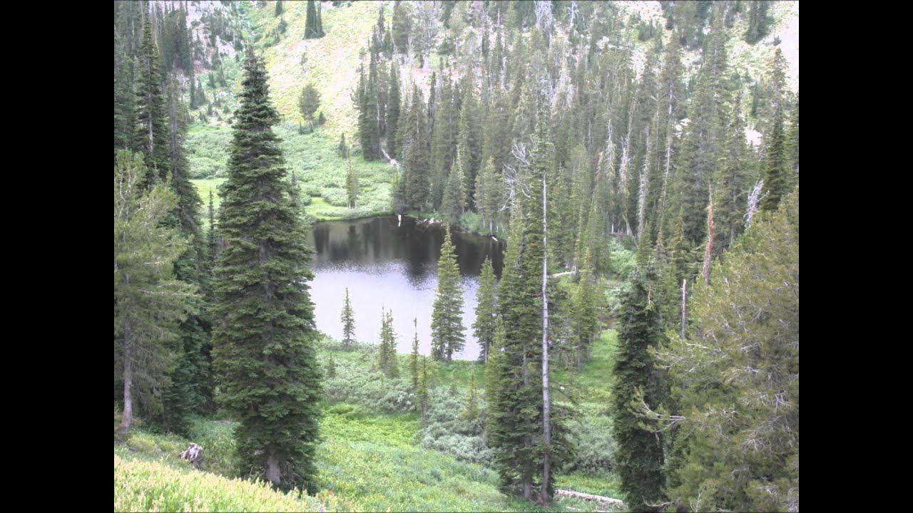 Trinity Lakes Idaho.wmv - YouTube
