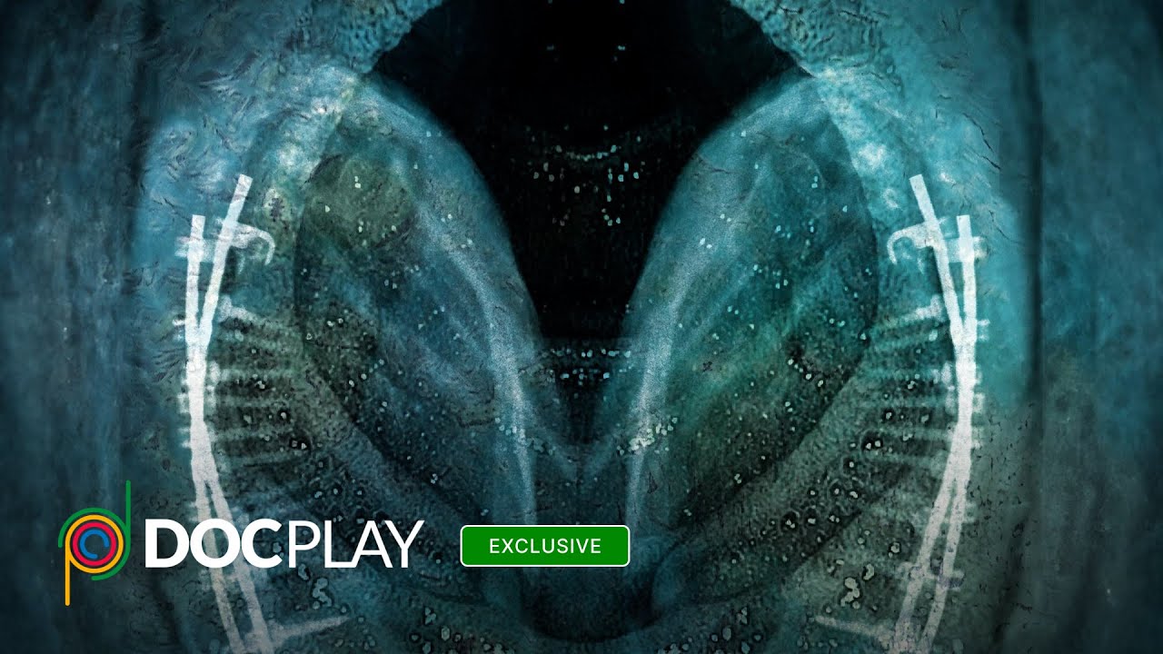 De Humani Corporis Fabrica | Official Trailer | DocPlay - YouTube