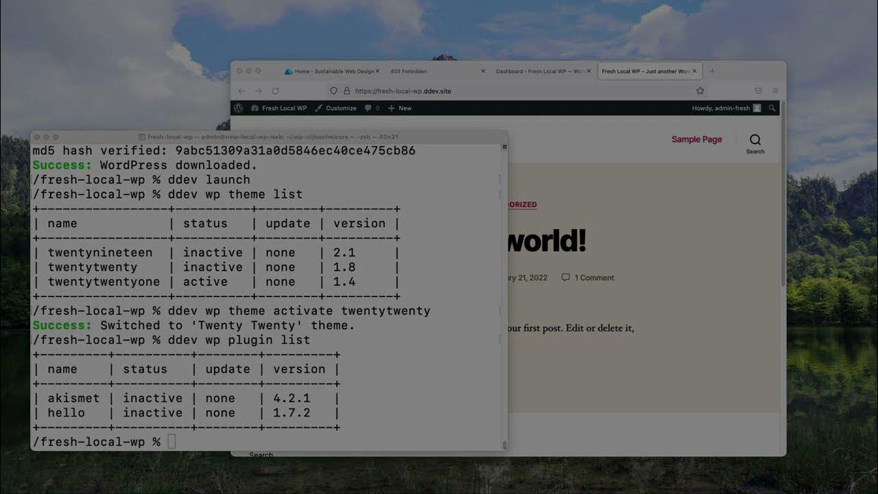 DDEV WordPress quickstart via WP-CLI: Setup a local WordPress site - YouTube