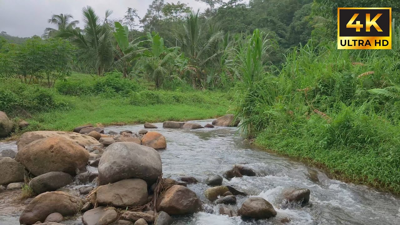 Escape to the Sound of a Flowing River | Soothing Water Ambience for ...