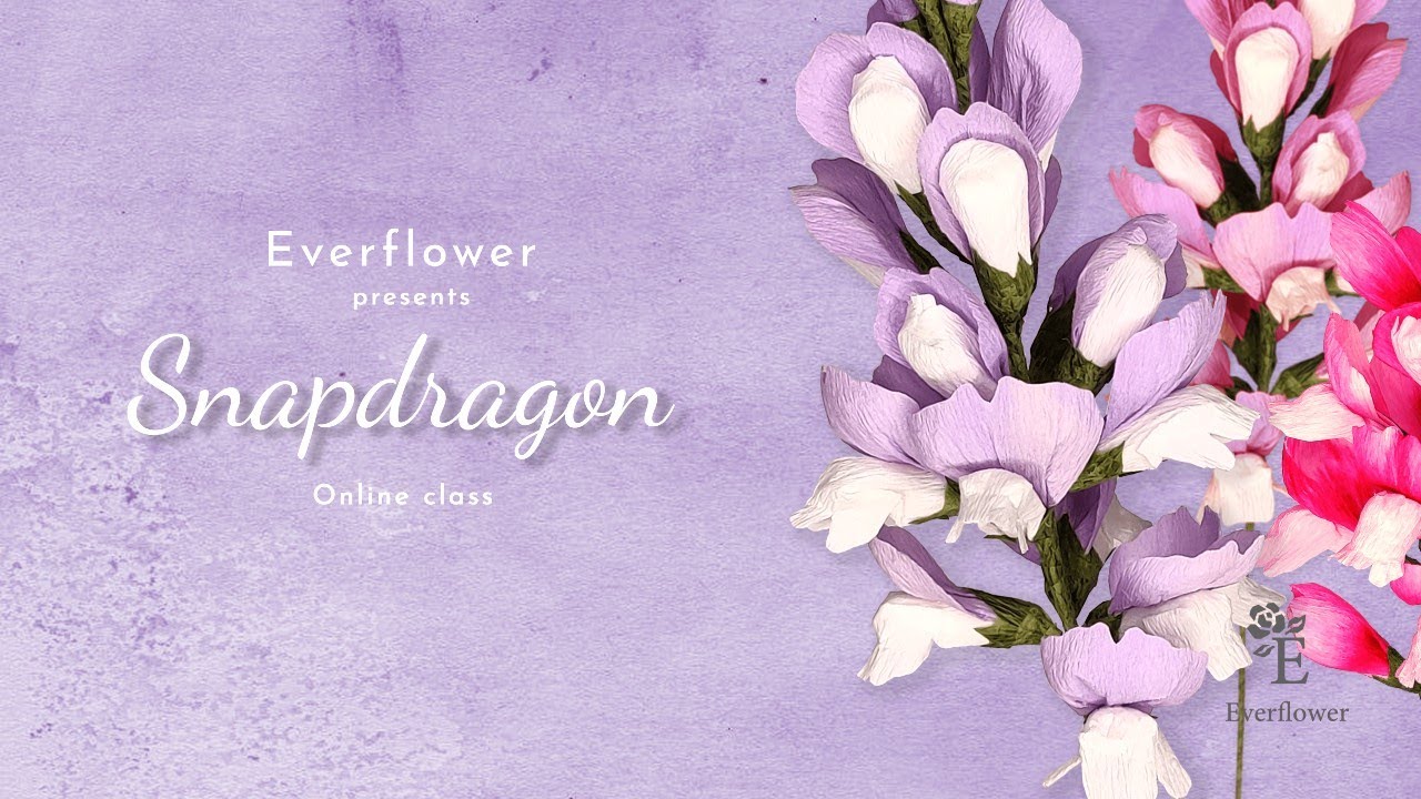 Crepe Paper Snapdragon Tutorial - YouTube