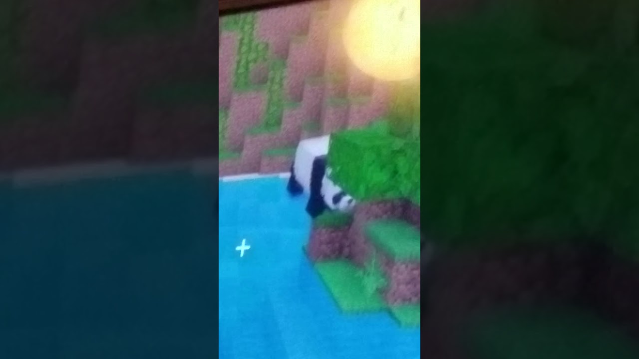 We broke the panda - YouTube