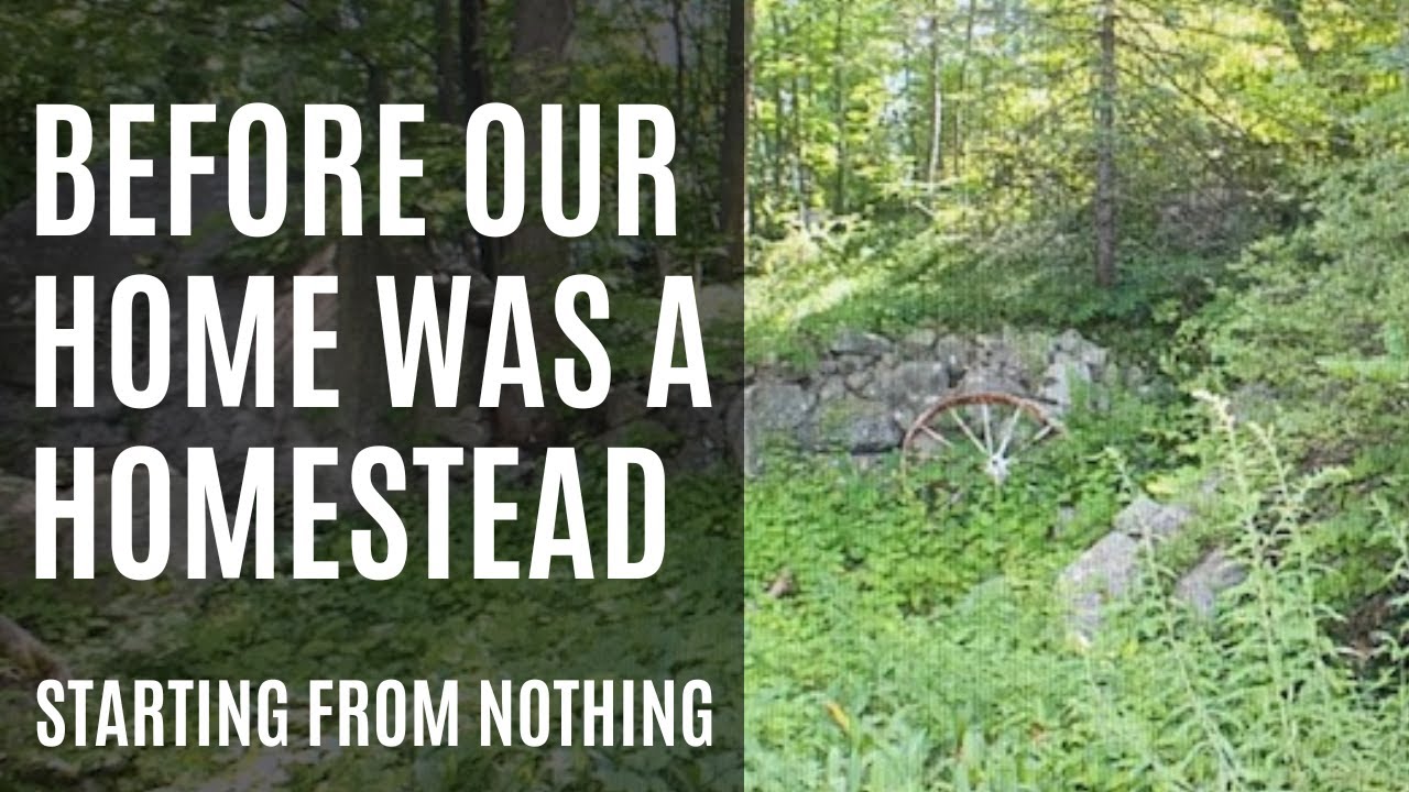 How we got Started-Starting a Homestead from Nothing-Beginner Homestead ...