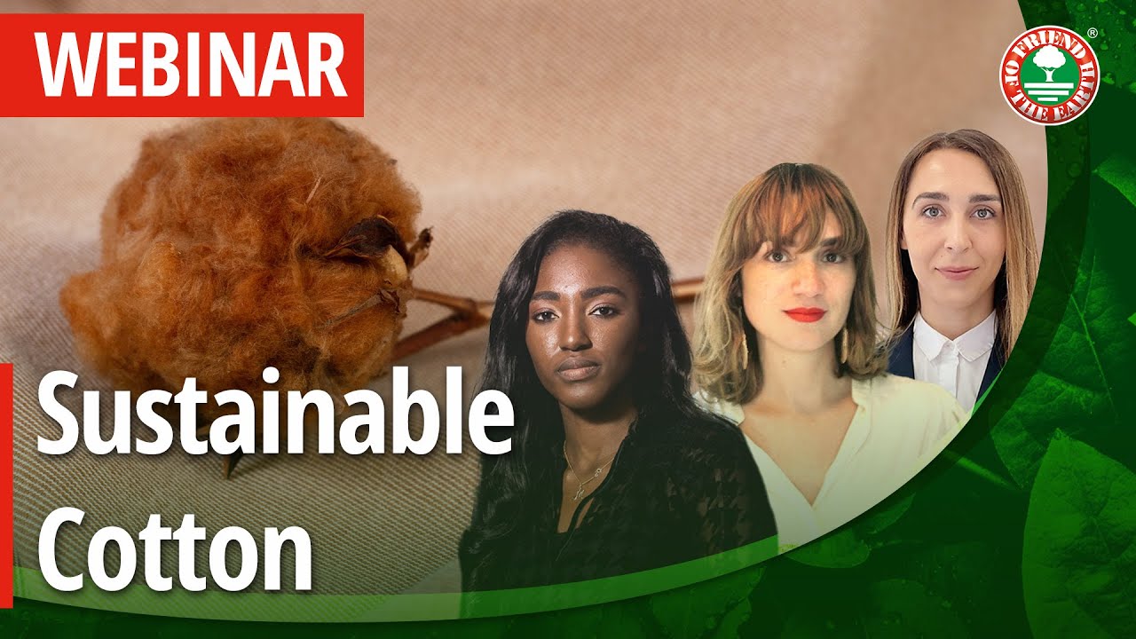 WEBINAR: Sustainable Cotton Production and Certification - YouTube