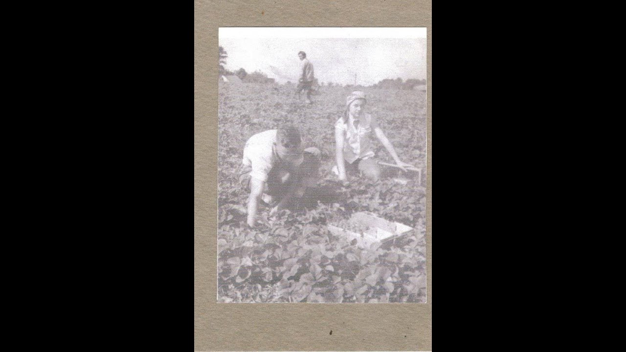 Clarence Edward "Ed" Polly - YouTube