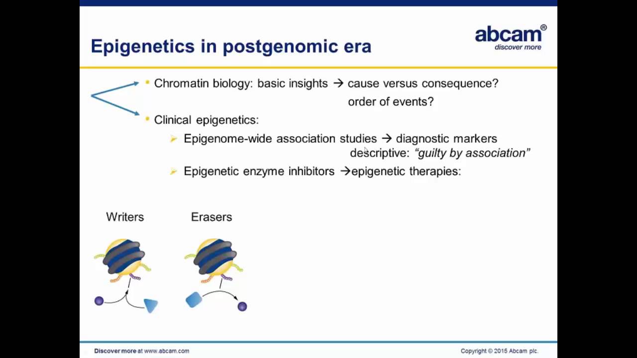 Epigenetic Editing: towards reprogramming of gene expression - YouTube