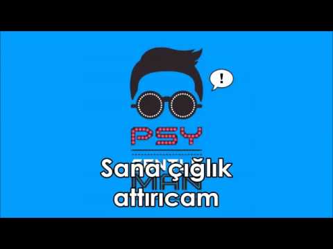 PSY - GENTLEMAN TÜRKÇE ÇEVİRİ [ALTYAZILI]