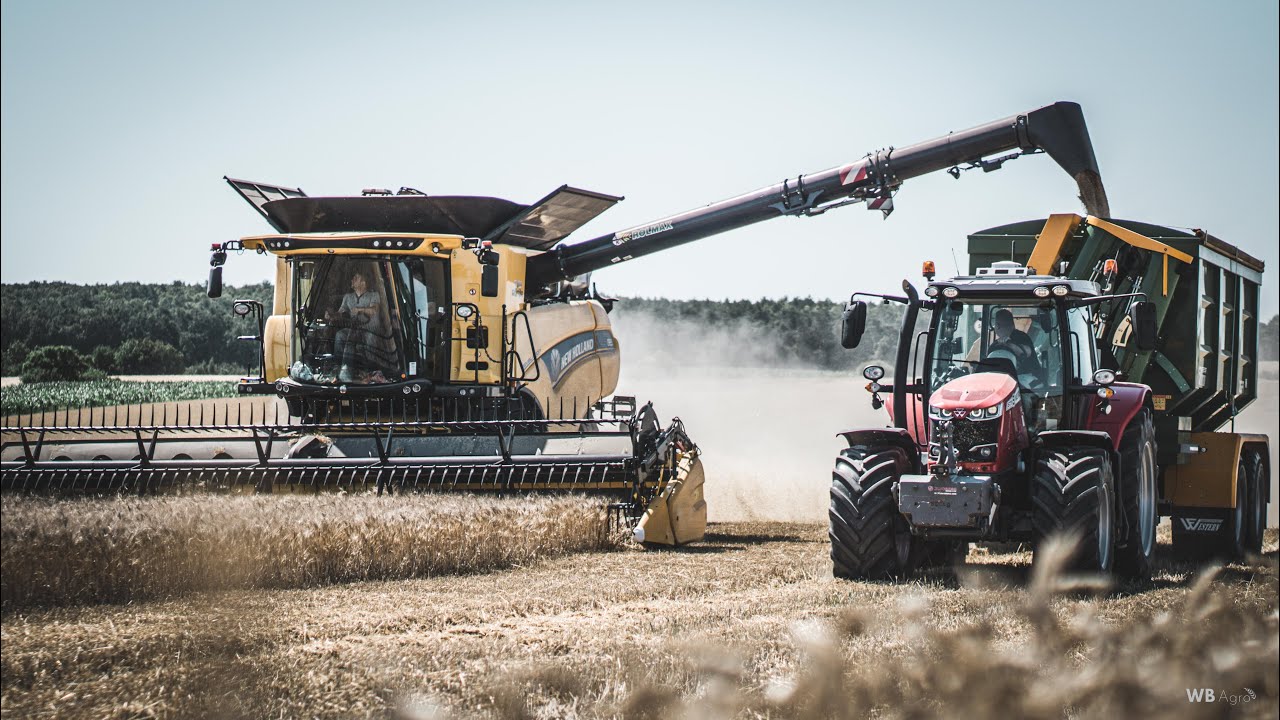 Lubelskie Mega Żniwa w GR Klajn 2022 | New holland Cr 9.90 Cx 6.80 MF ...