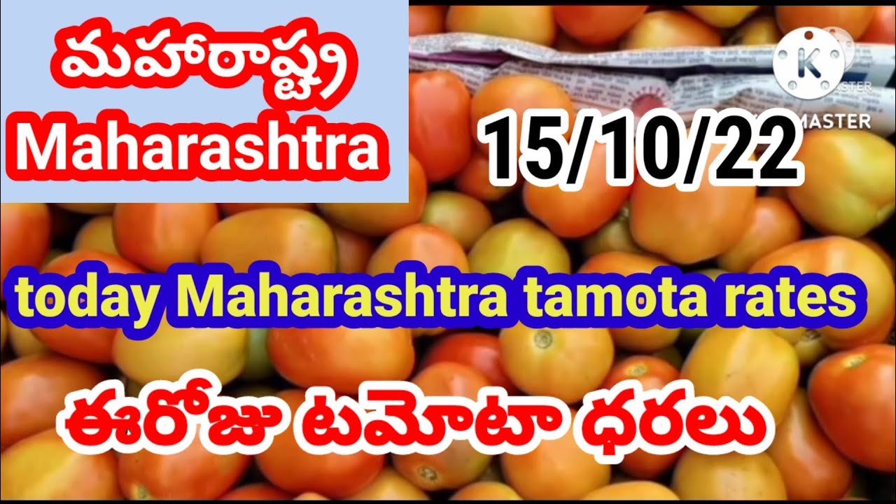 October 15, 2022#today maharashtra tamota rates top prices in ...