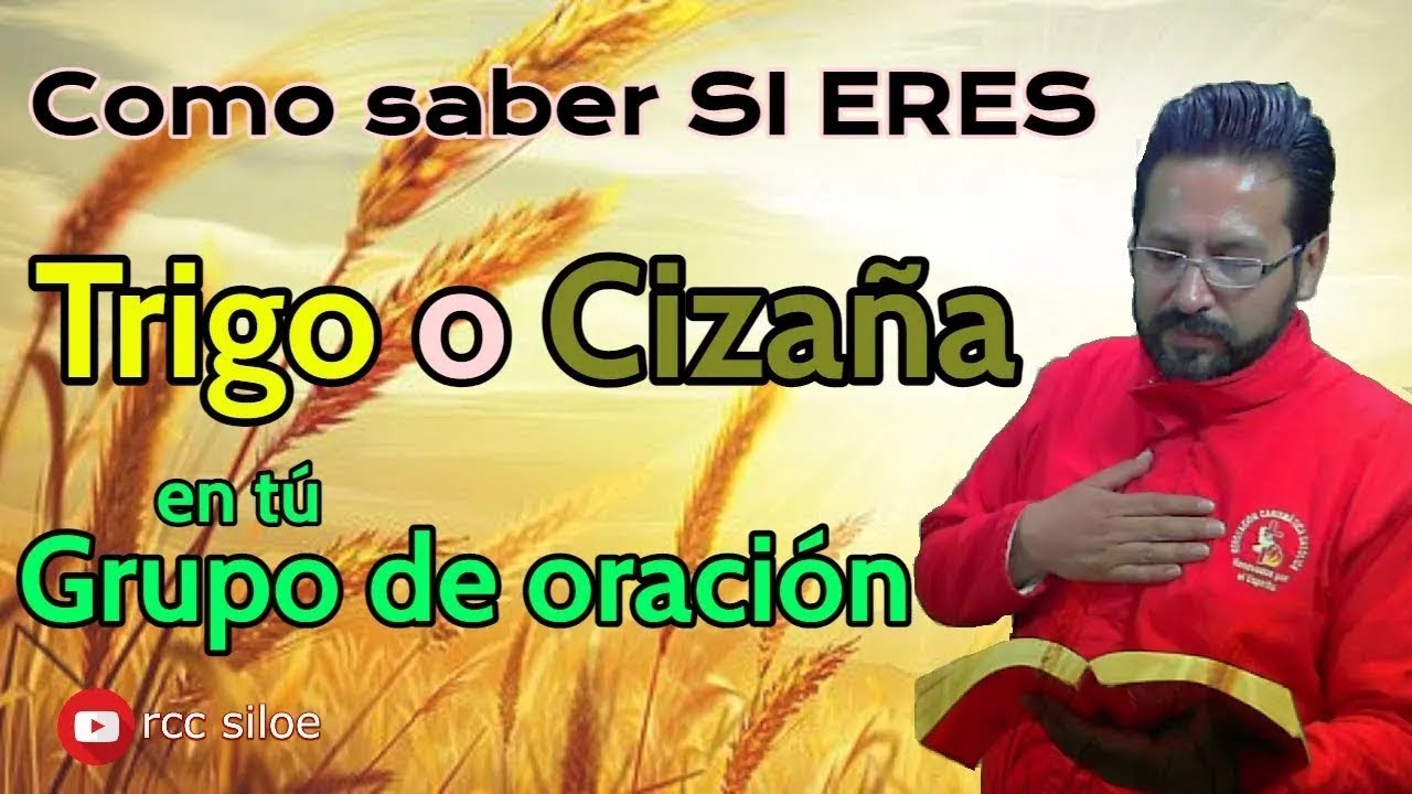 Como saber si eres TRIGO O CIZAÑA en tu Grupo de oración - YouTube