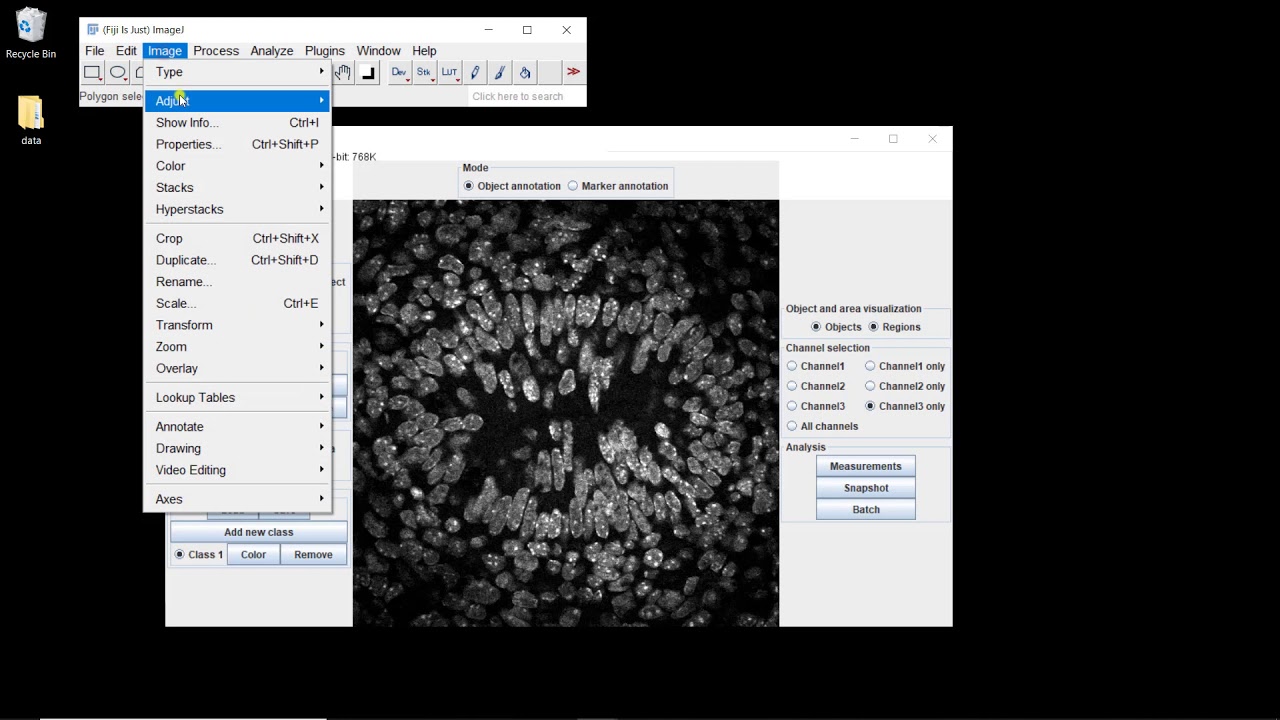 Annotater tutorial - Visualization - YouTube