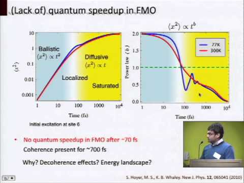 Quantum Mechanics of Photosynthetic Light Harvesting Machinery (Google ...
