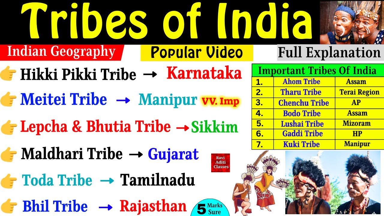 Tribes in India with States | Tribes important question | Statewise ...