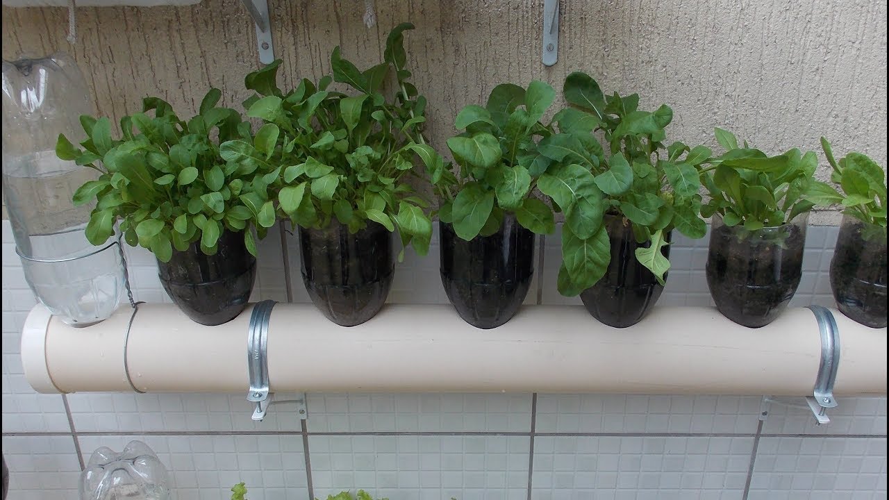 Bottle Garden The Incredible Self Watering Pop Grow System 3 - YouTube